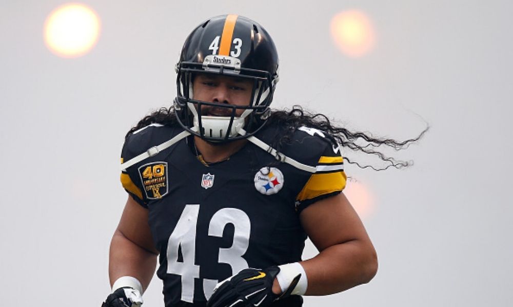 Troy Polamalu, leyenda de los Steelers que dominó la NFL con talento y ...