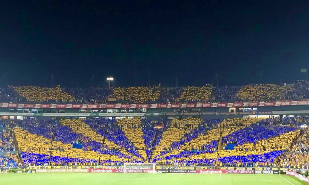 ¿Quiénes son los Libres y Lokos?